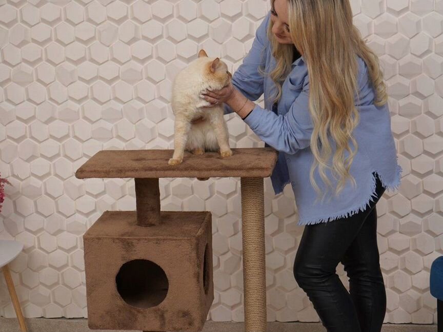 Домик для кошки с когтеточкой