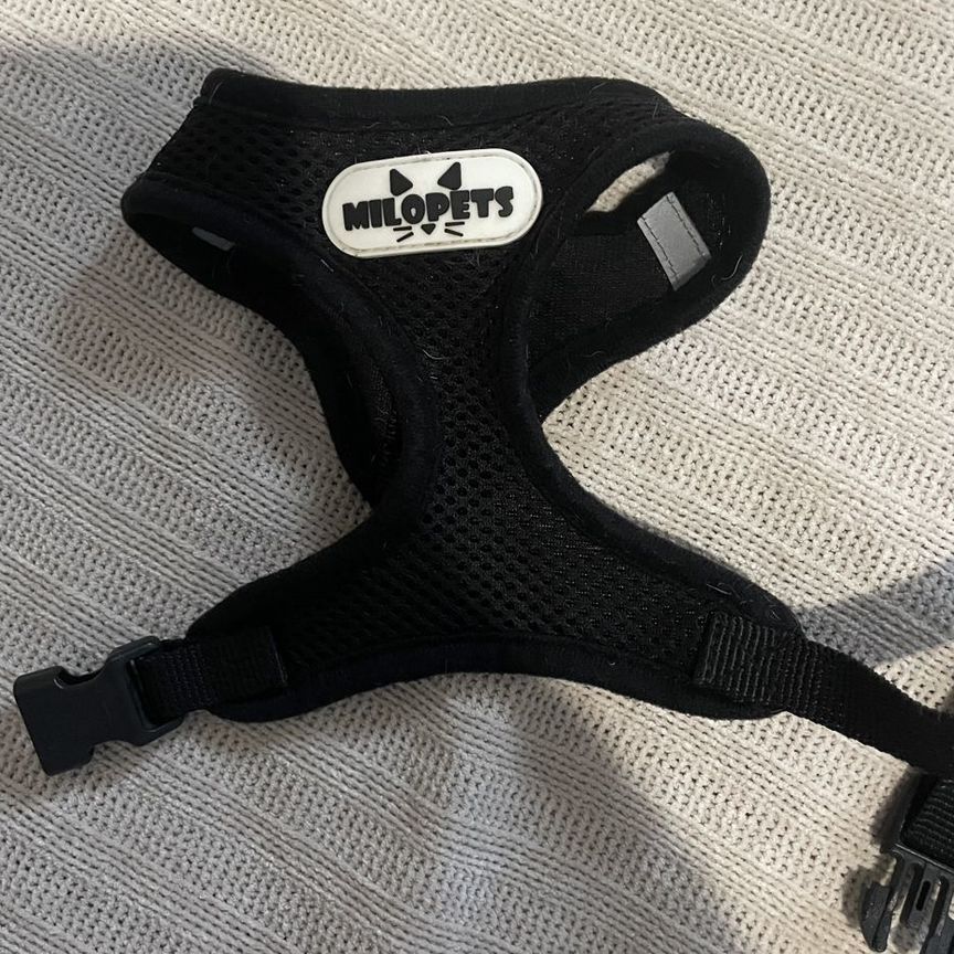 Шлейка для маленькой собаки