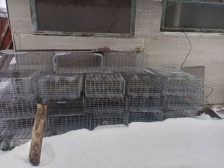 Сетки для кур