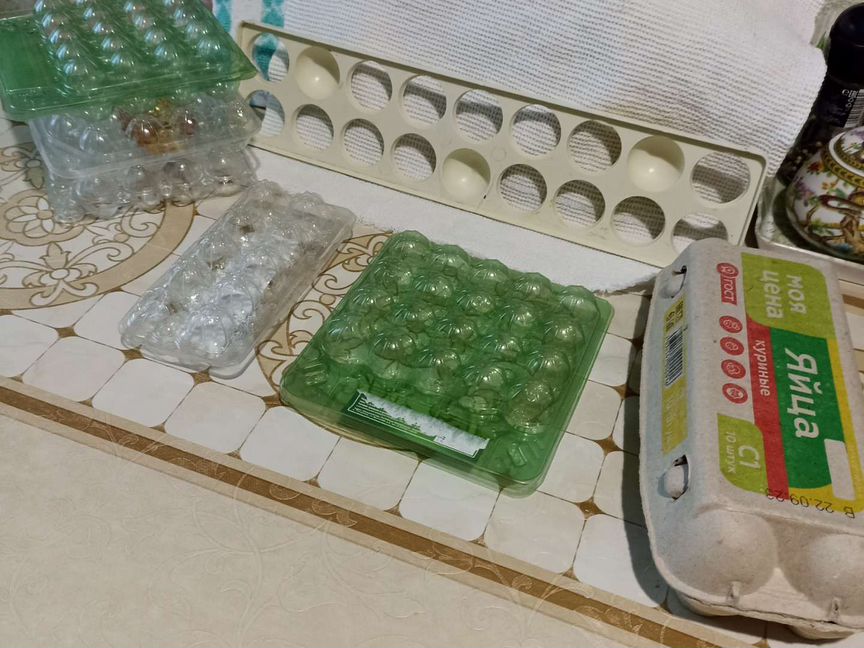 Ячейки для яиц