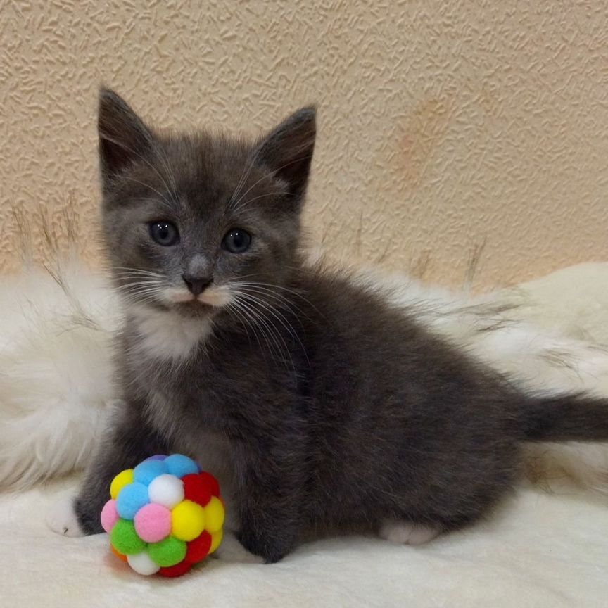 Девочка в поиске дома