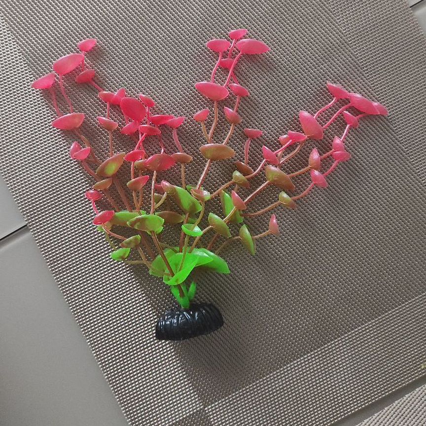 Искусственные водоросли в аквариум, улитки в дар