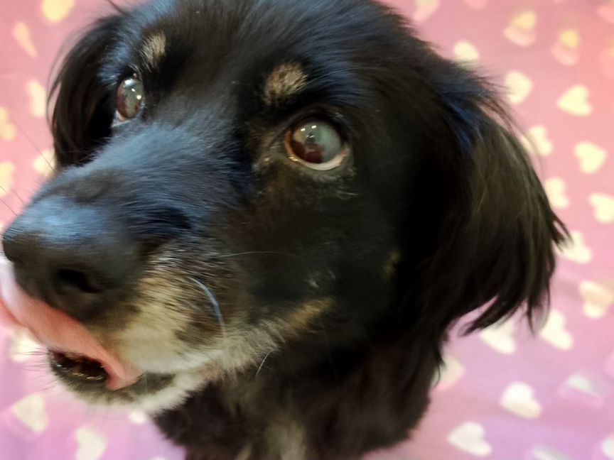 Релаксовый Сэнсей