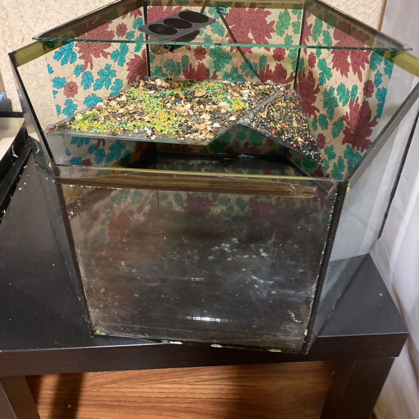 Оквариум для чарепах