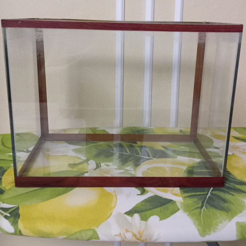 Аквариум для рыб   ракушки