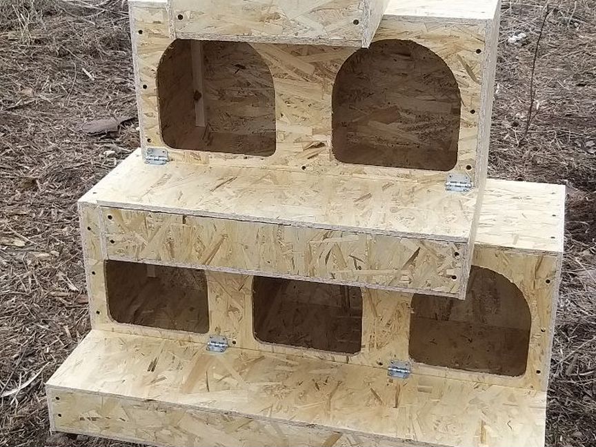 Гнездо для кур с яйцесборником