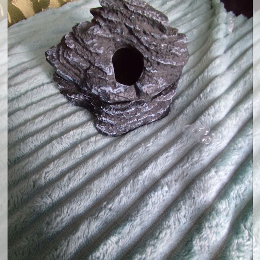 Влажная камера для рептилий