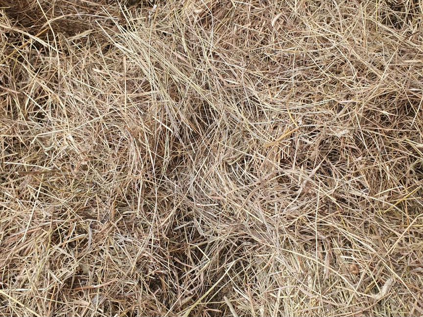 Сено в кипах