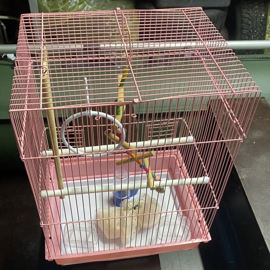 Клетка для попугая корелла