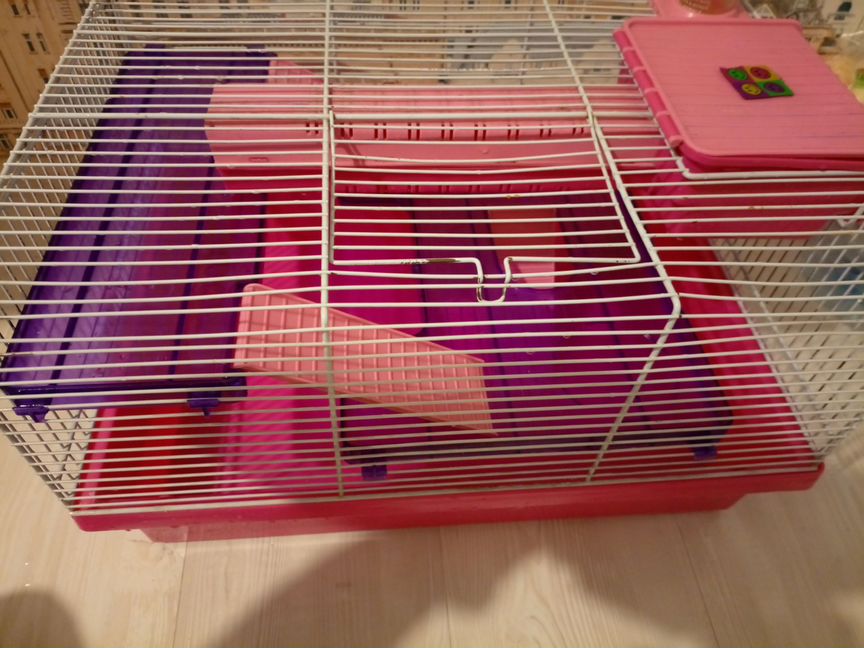 Клетка для сирийского хомяка