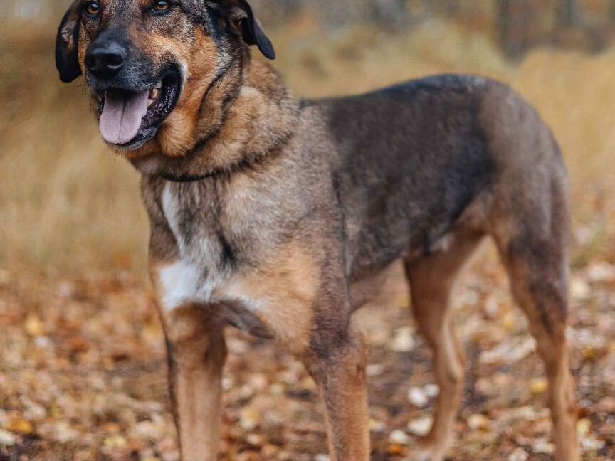 Август раньше жил дома