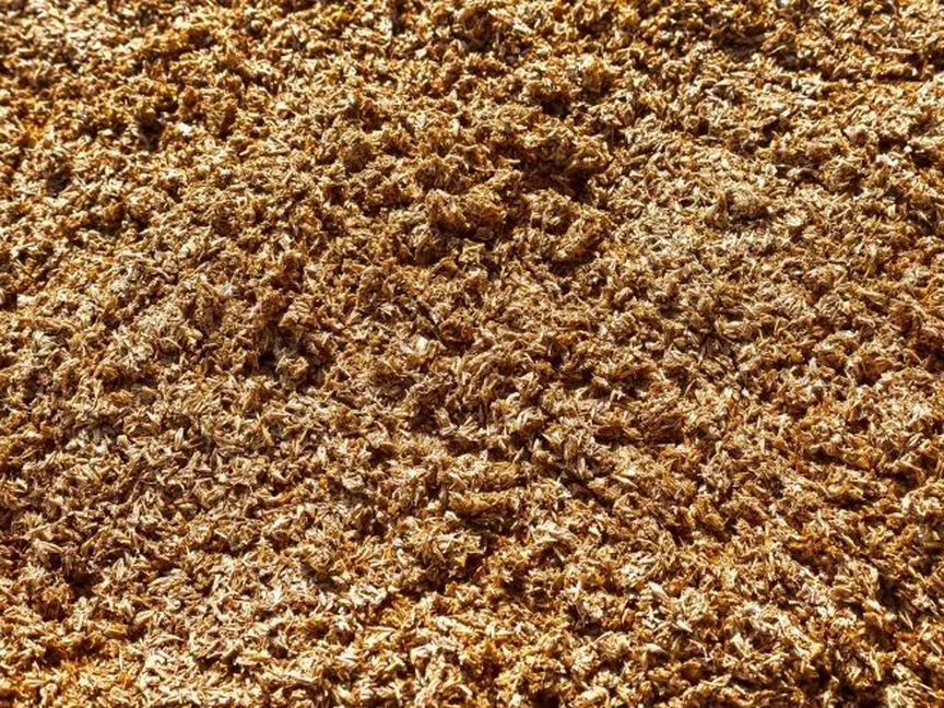 Пивная дробина