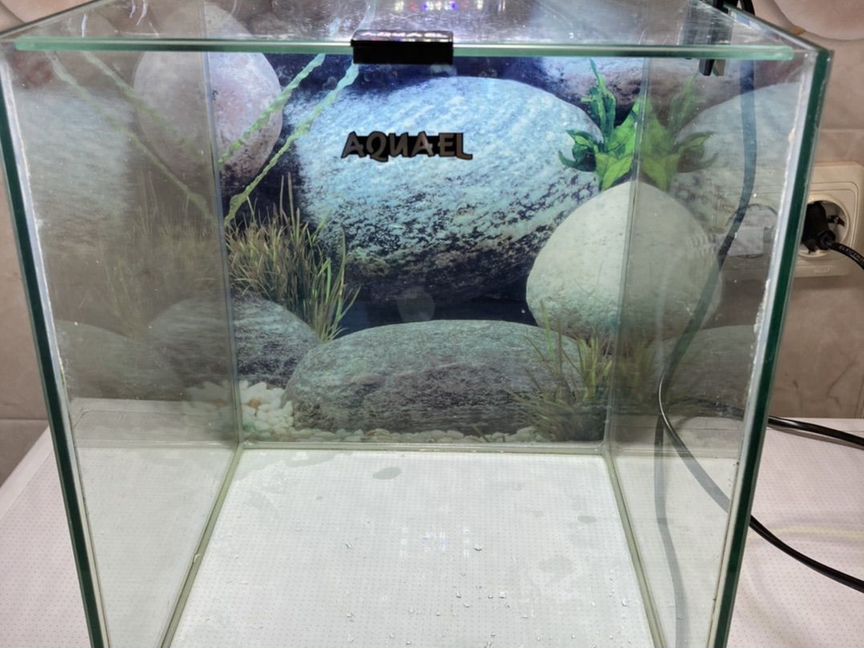 Аквариум тетра