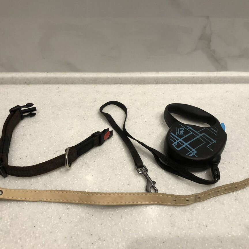 Ошейник Рулетка для собак средних пород