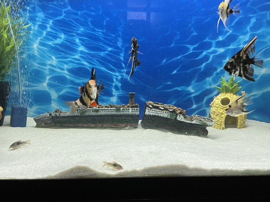 Аквариум с тумбой 100л