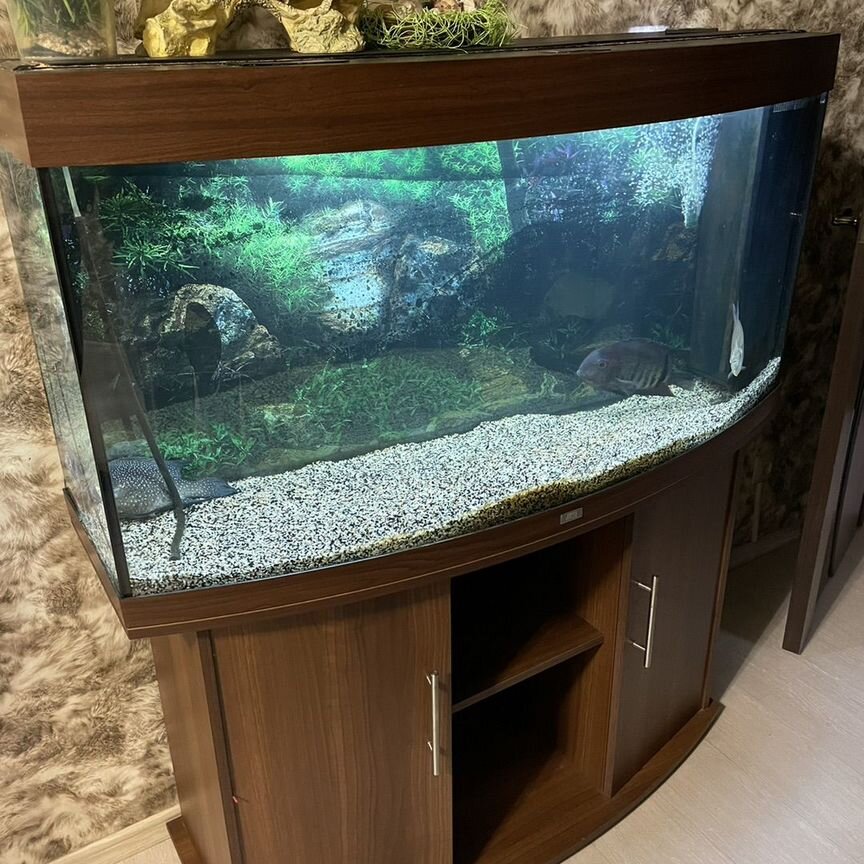Аквариум 260 литров с тумбой