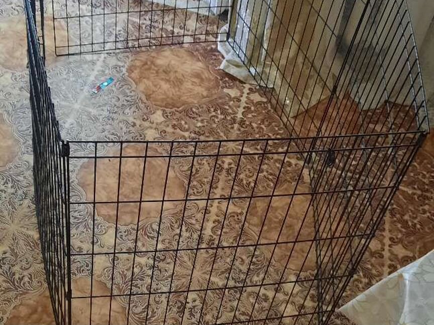 Собачья клетка
