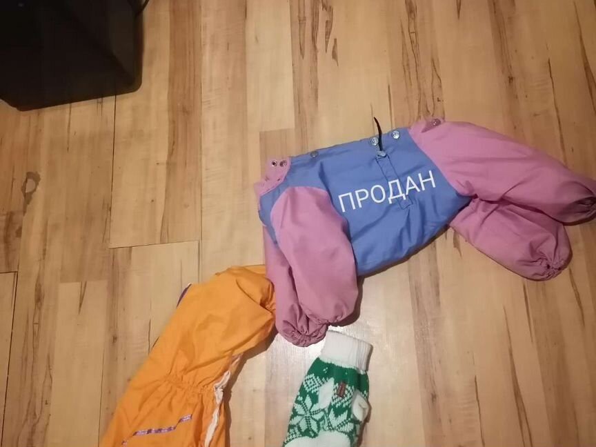 Одежда для собаки