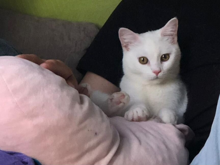 Мальчик 1 года