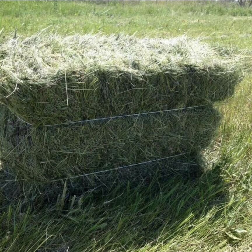 Сено в тюках и мешках