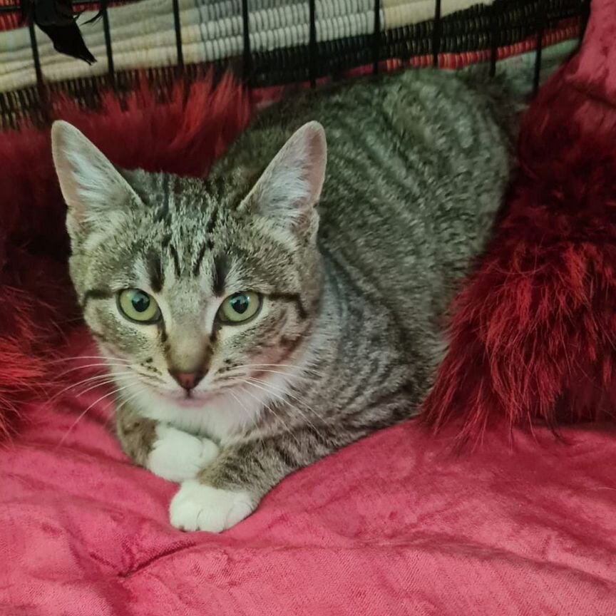 Девочка спасена в морозы