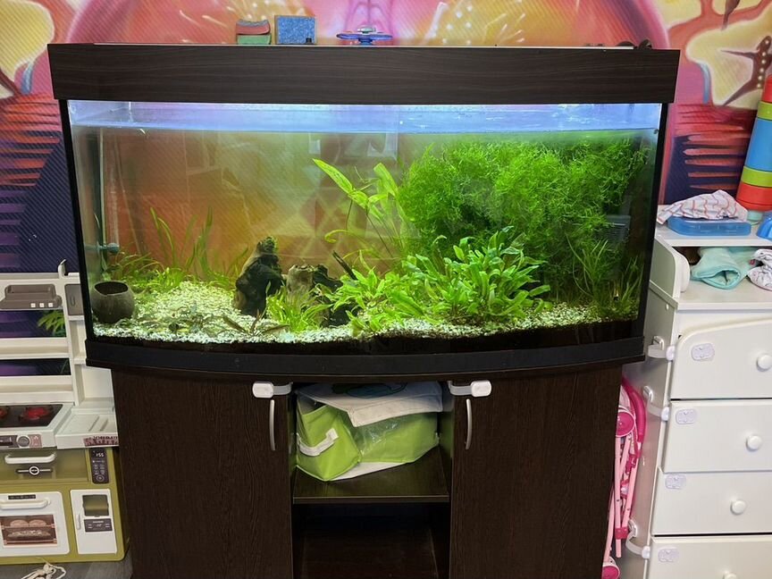 Аквариум 320 литров с тумбой
