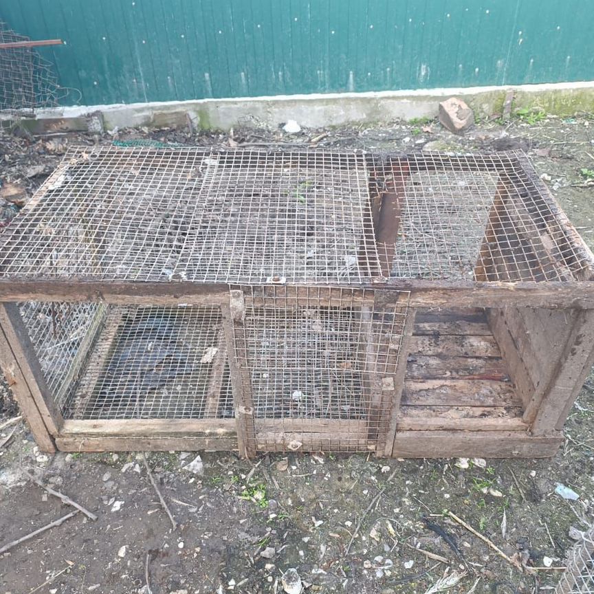 Для животных