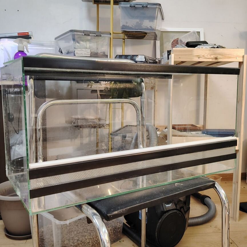 Террариум для рептилий бу