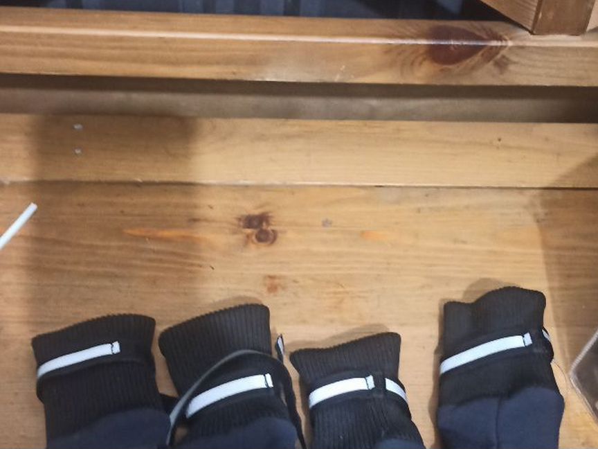 Ботинки на липучках синие высокие