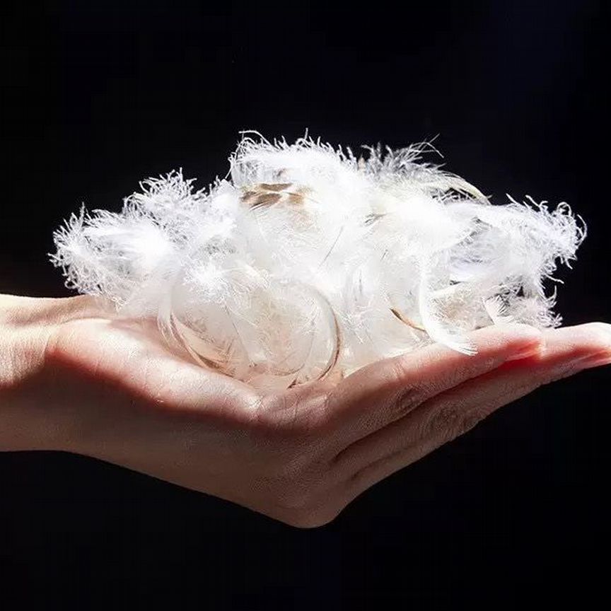 Продам гусиный пух,белый