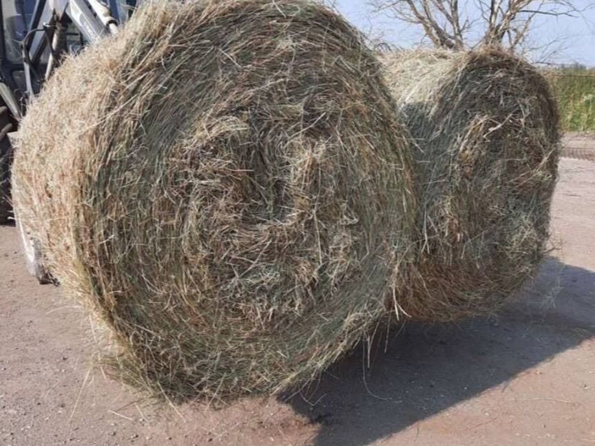 Сено в рулонах