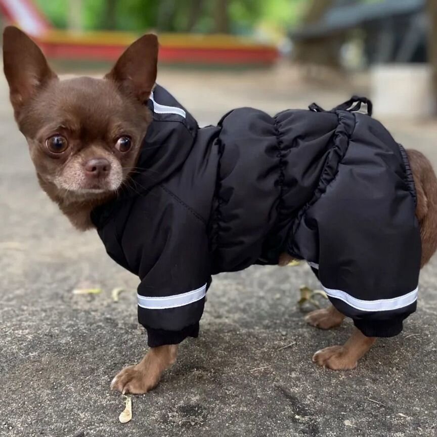 Комбинезон зимний для собак мелких пород S