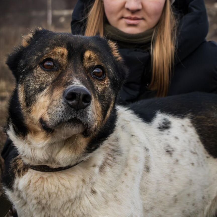 Добрый мальчик в хорошие руки
