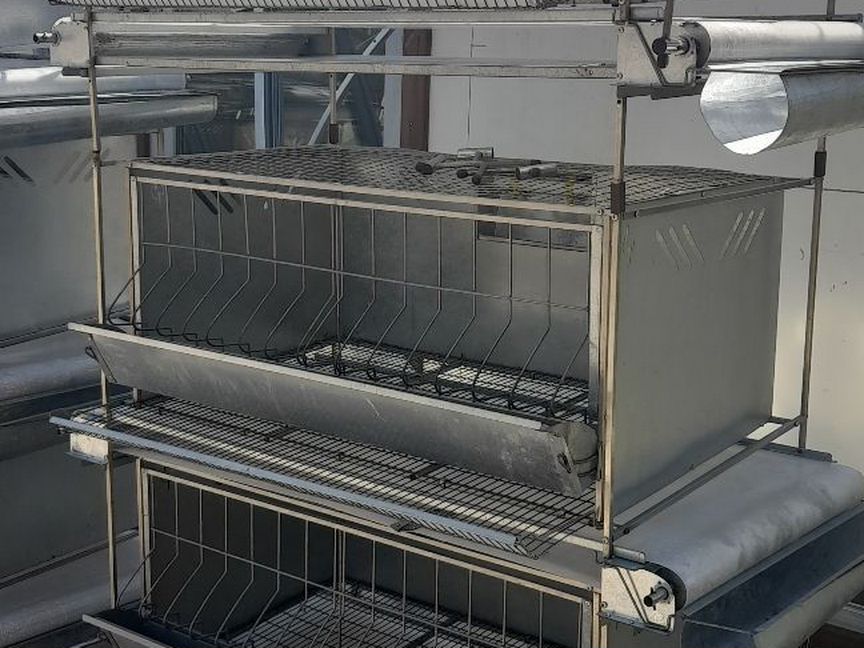 Клетки для кур несушек