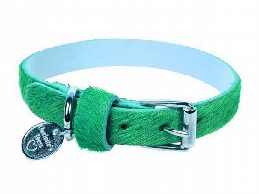 Ошейник для собак Ламу, 1,2смx25см, зеленый