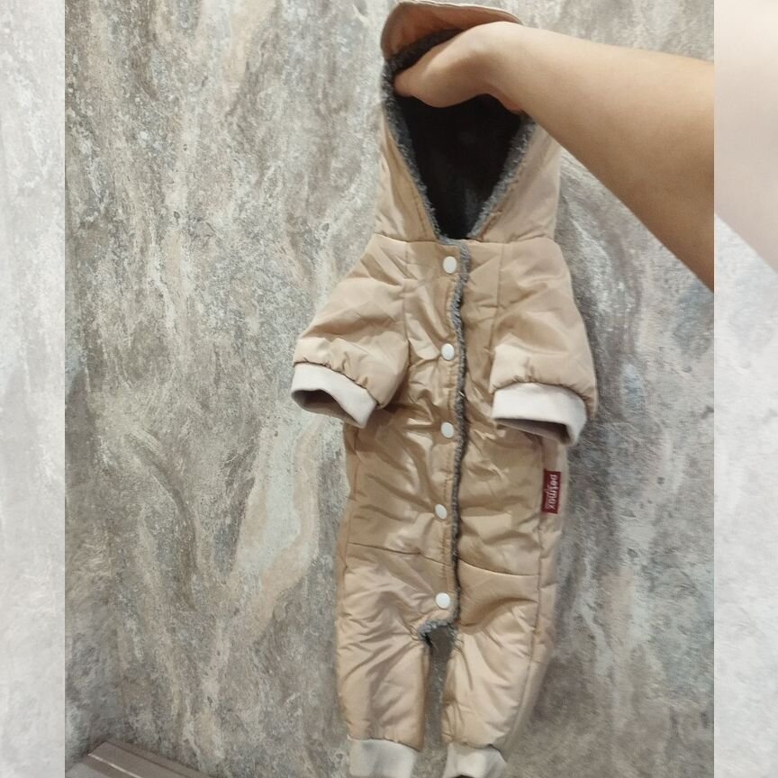 Одежда для собаки или кошки