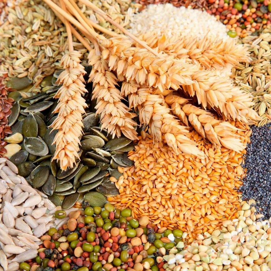 Зерно и зерно смесь