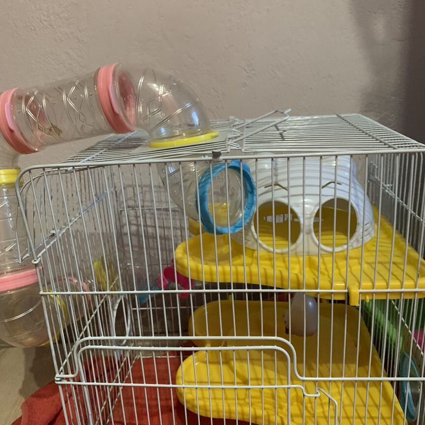 Клетка для хомяка бесплатно