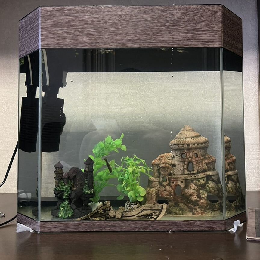 Аквариум с рыбками