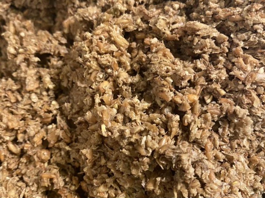 Пивная дробина, корм