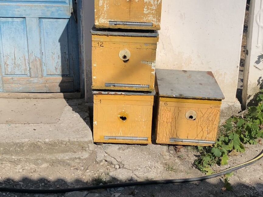 Ульи для пчел бу