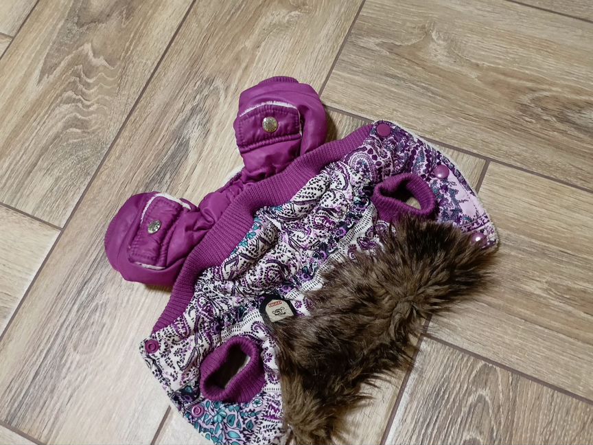 Зимний костюм для собак