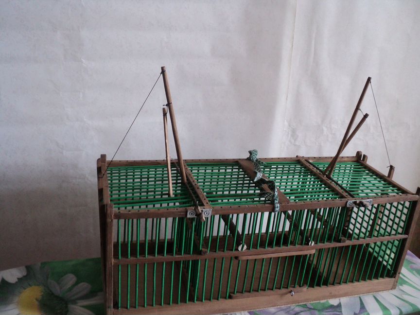 Садок для птиц