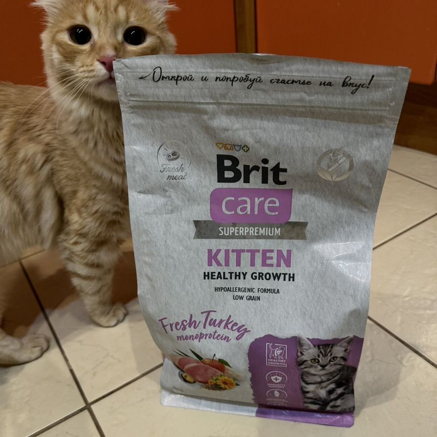Корм для котят Brit care