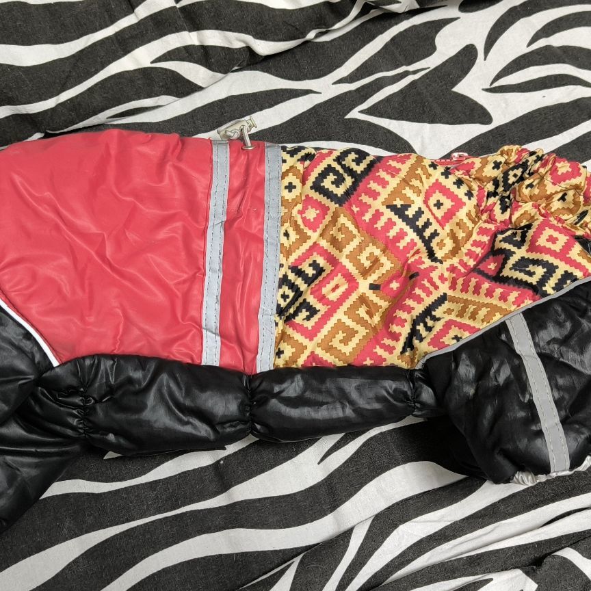 Комбенизон зимний для маленькой собаки