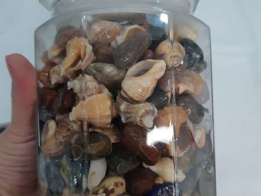 Морские камушки