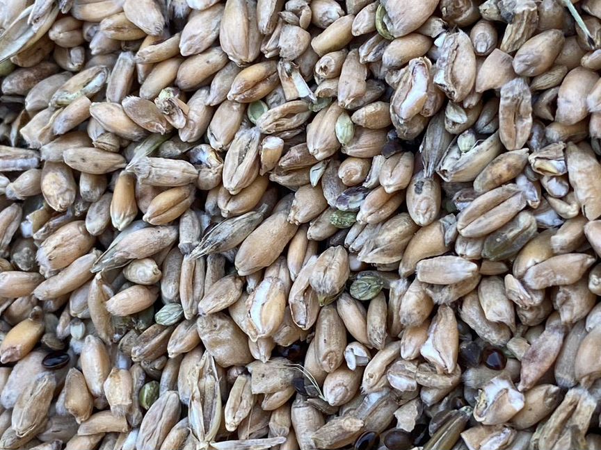 Зерноотходы