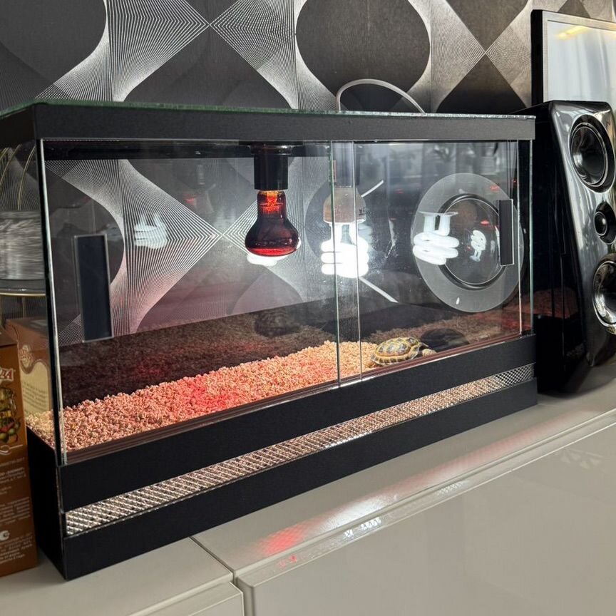 Терратирум