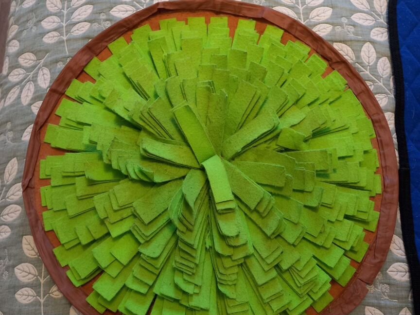 Нюхательный коврик для собак