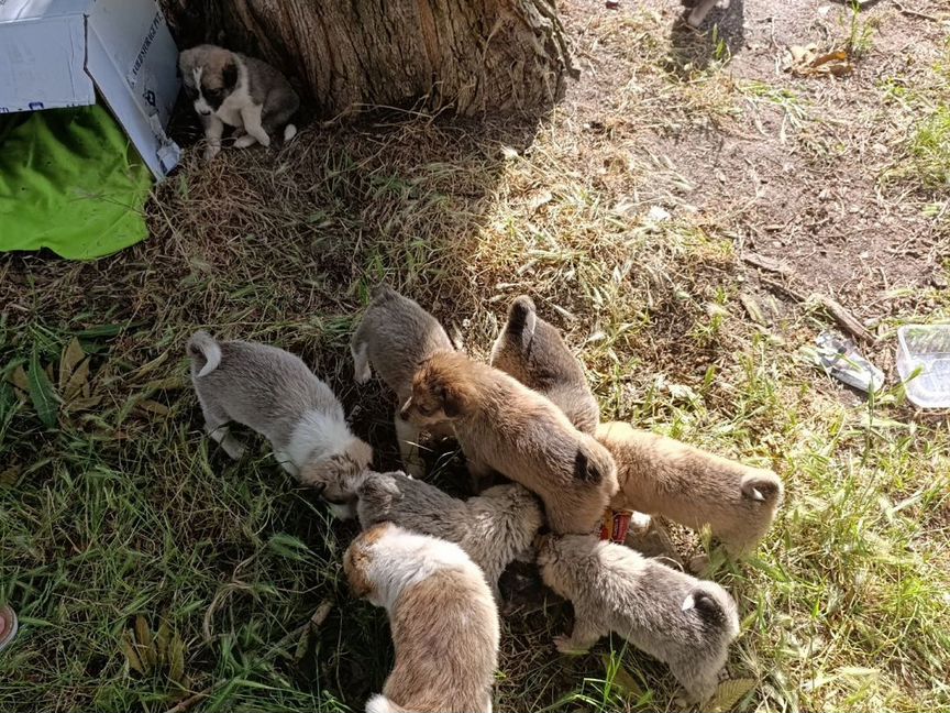 Их выбросили под дождь